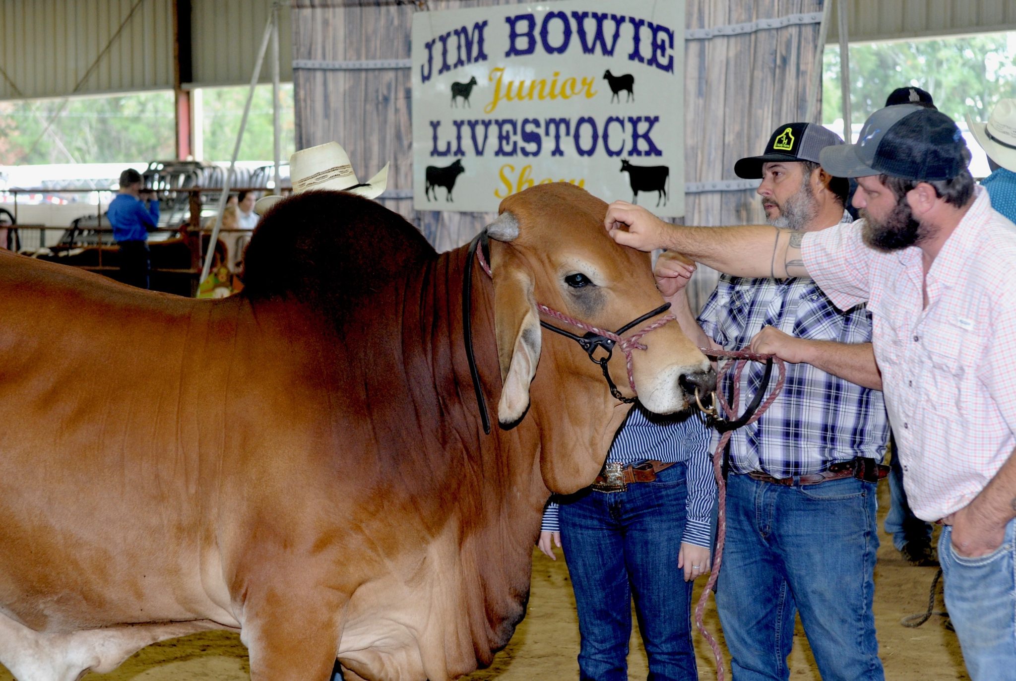 Jim Bowie Livestock Show » St. Landry Now Online Newspaper » Opelousas ...