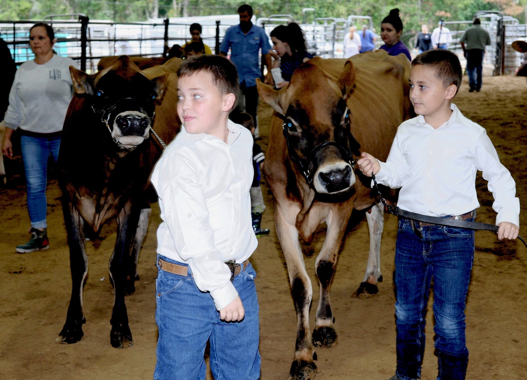 Jim Bowie Livestock Show » St. Landry Now Online Newspaper » Opelousas ...