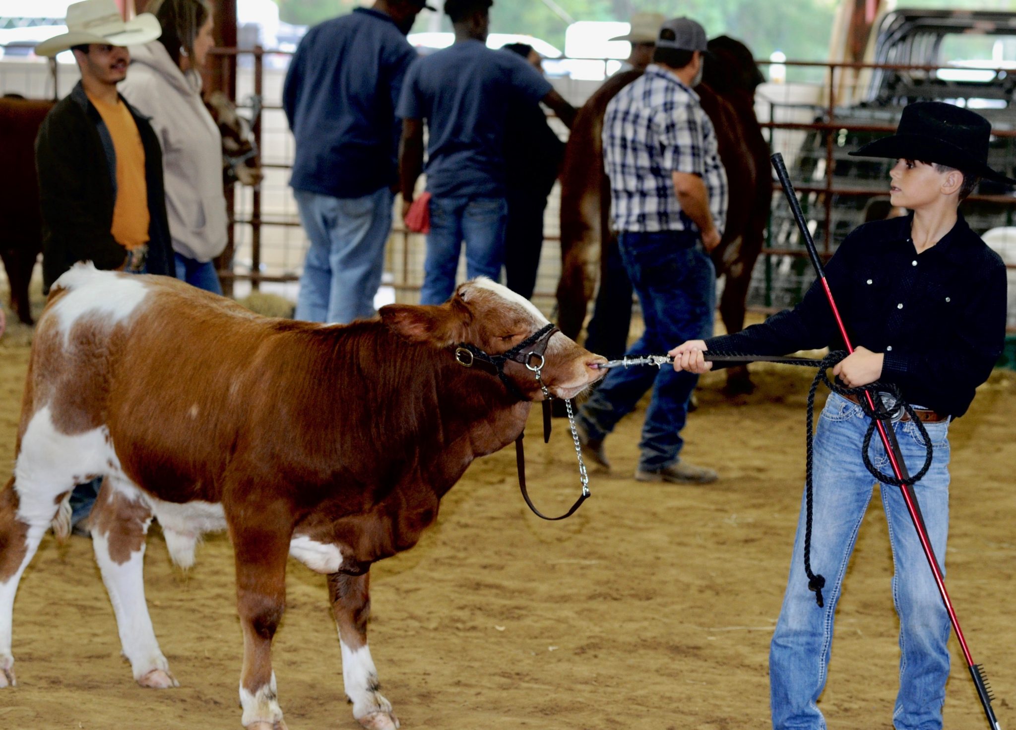 Jim Bowie Junior Livestock Show » St. Landry Now Online Newspaper ...