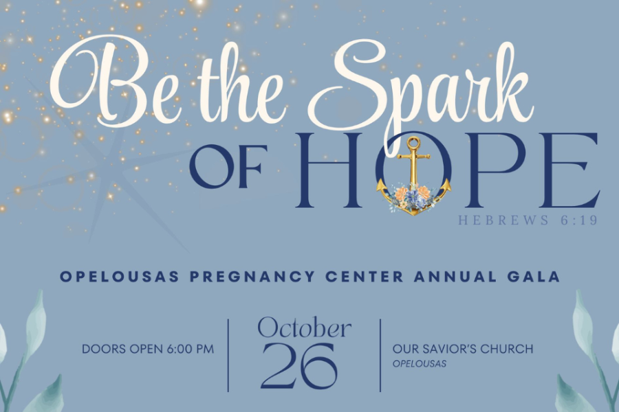 Be the Spark of Hope Gala » St. Landry Now Online Newspaper » Opelousas ...